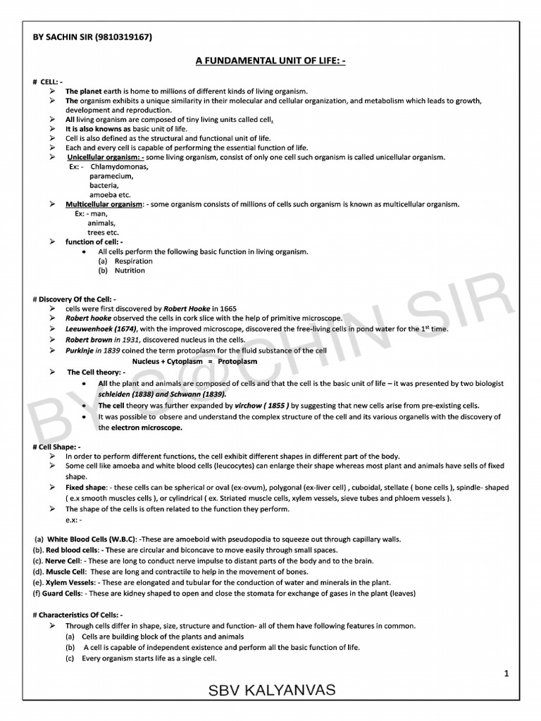 Cell Notes | PDF