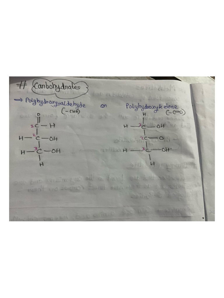 Carbohydrates Organic Structure | PDF
