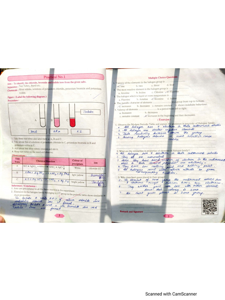 Science Practical 1,2,3 | PDF