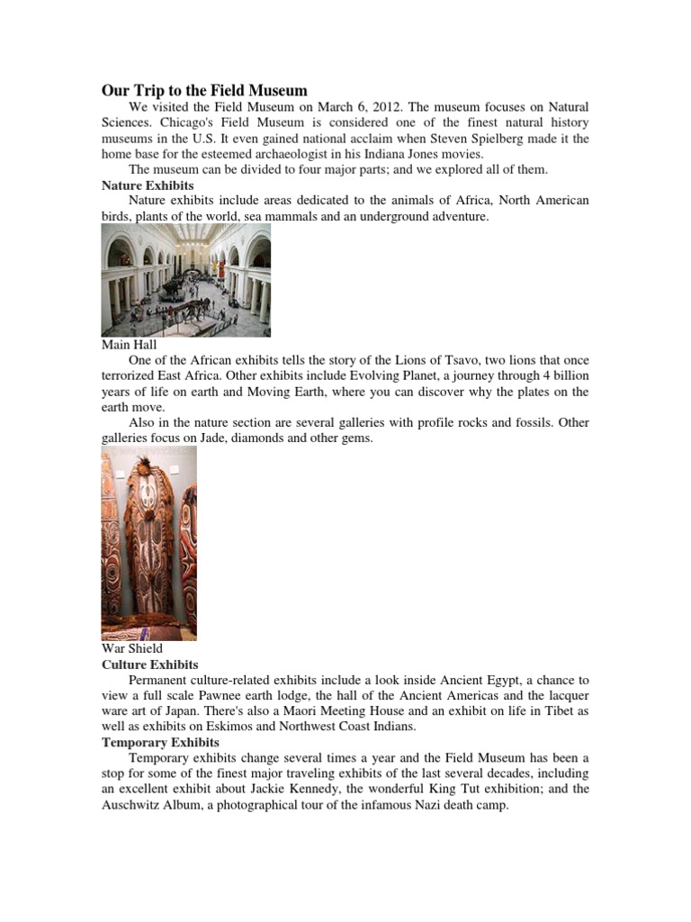 Sample Essay 1 | PDF | Gemstone | Museum