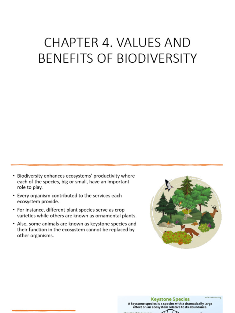 Understanding Biodiversity's Value | PDF | Ecosystem | Biodiversity