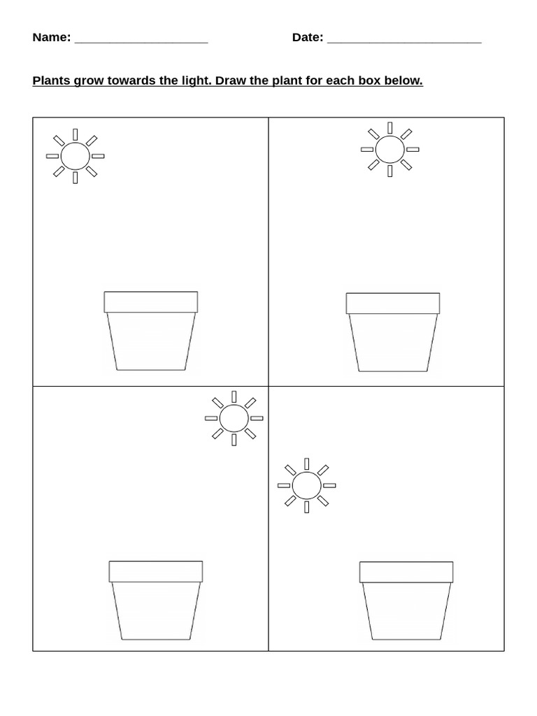 Plants and light | PDF