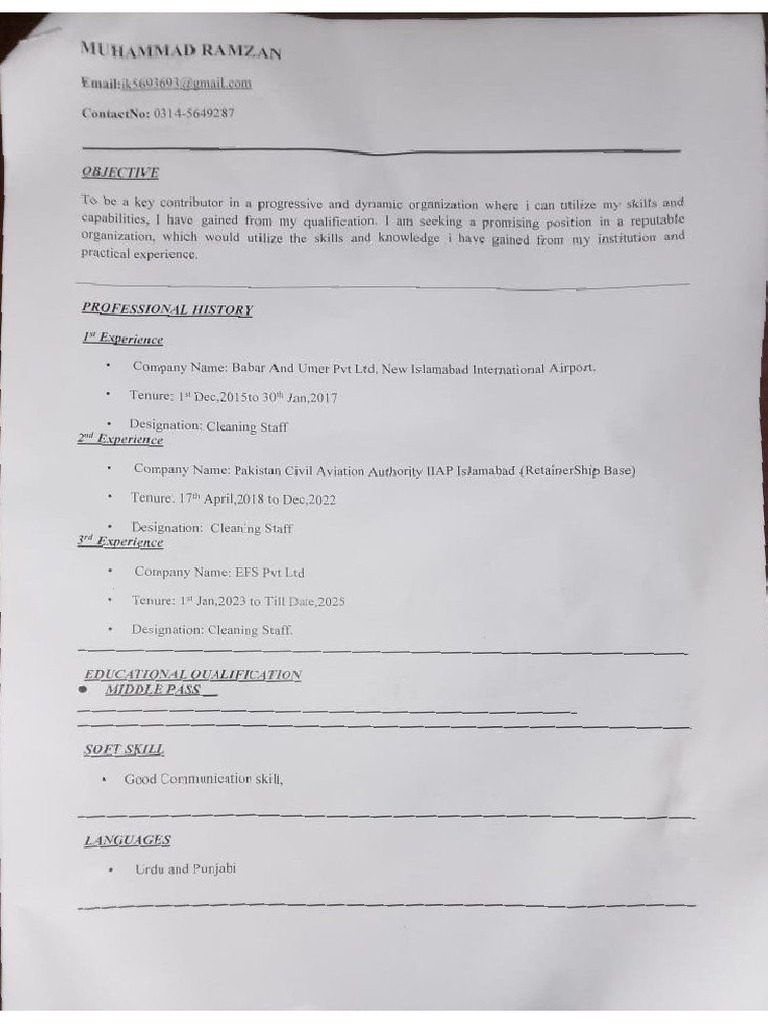 Ramzan CV | PDF