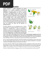 Understanding Tree Definitions and Types | PDF | Trees | Organisms