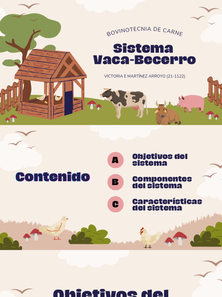 Sistema Vaca-Becerro: Producción Eficiente | PDF | Vacas | Leche