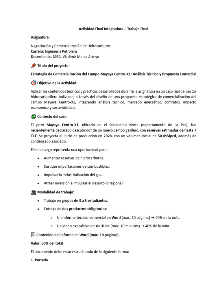 Actividad Final Integradora | PDF | Youtube | Economias