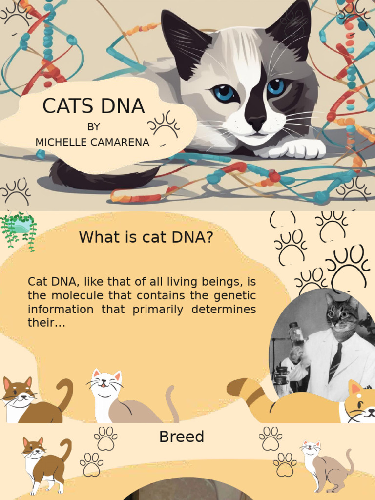 Cat Dna Presentation - Michelle C. | PDF | Dominance (Genetics) | Dna