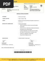 Histopathology Report Template | PDF | Medicine | Health Care