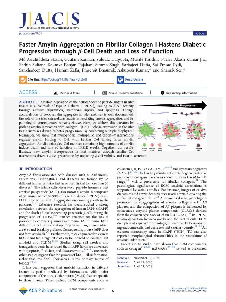 Hazari Et Al 2025 Faster Amylin Aggregation on Fibrillar Collagen i Hastens Diabetic Progression ...