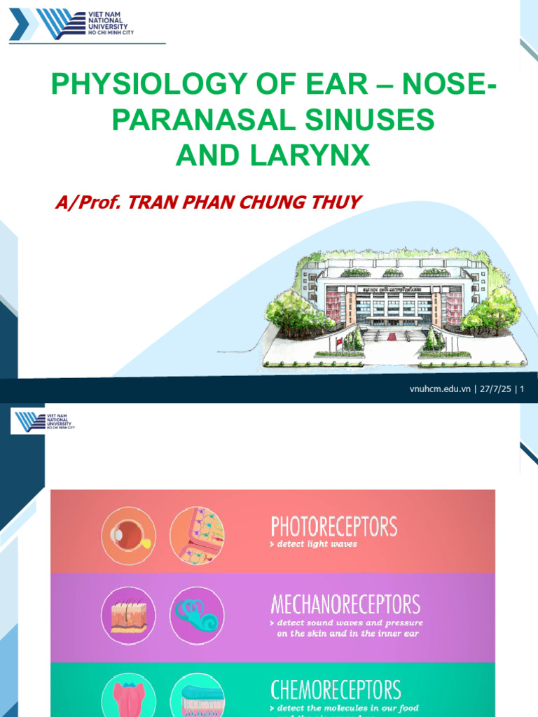2. Physiology of Ear- Nose and Paranasal Sinues - Pharynx (1) | PDF