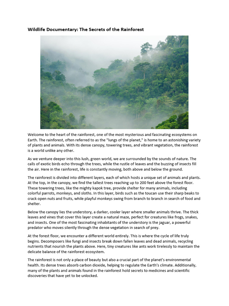 16 Aug 2025 The Secrets of The Rainforest | PDF | Rainforest | Canopy ...