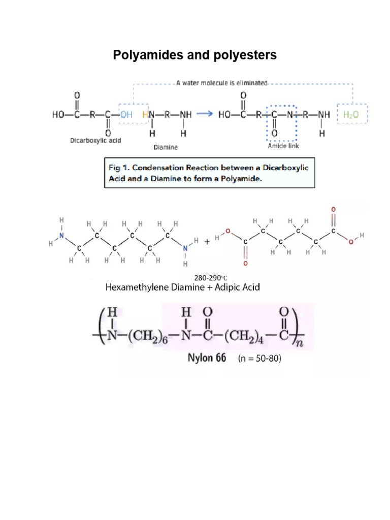 Polyamides and Polyesters | PDF