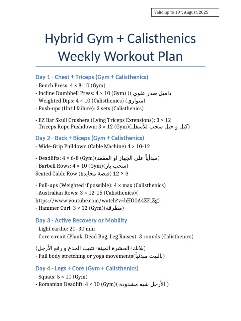 Hybrid Gym Calisthenics Workout Plan | PDF