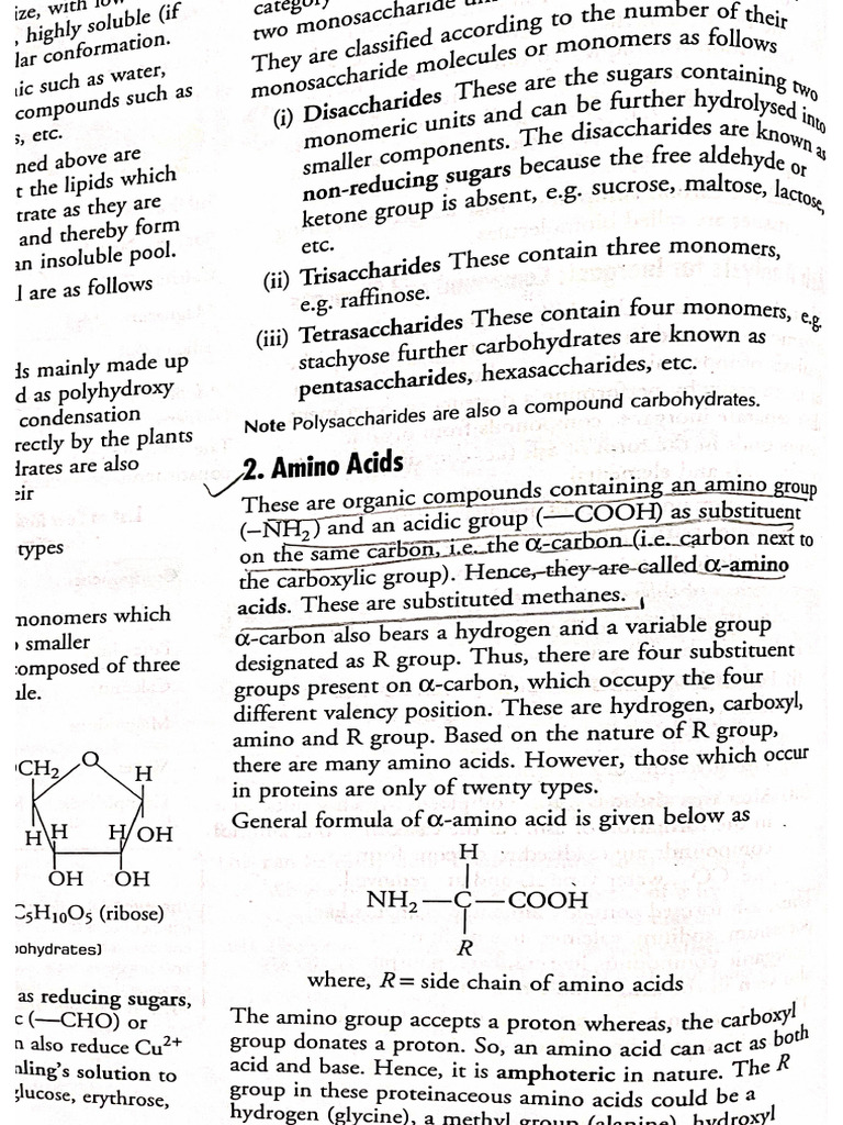 Biomolecules Notes | PDF