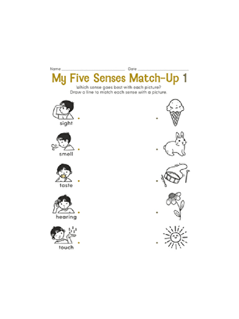 Five Senses Matchup | PDF