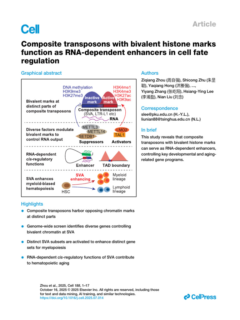 Composite Transposons With Bivalent Histone Marks Function As RNA-dependent Enhancers in Cell ...