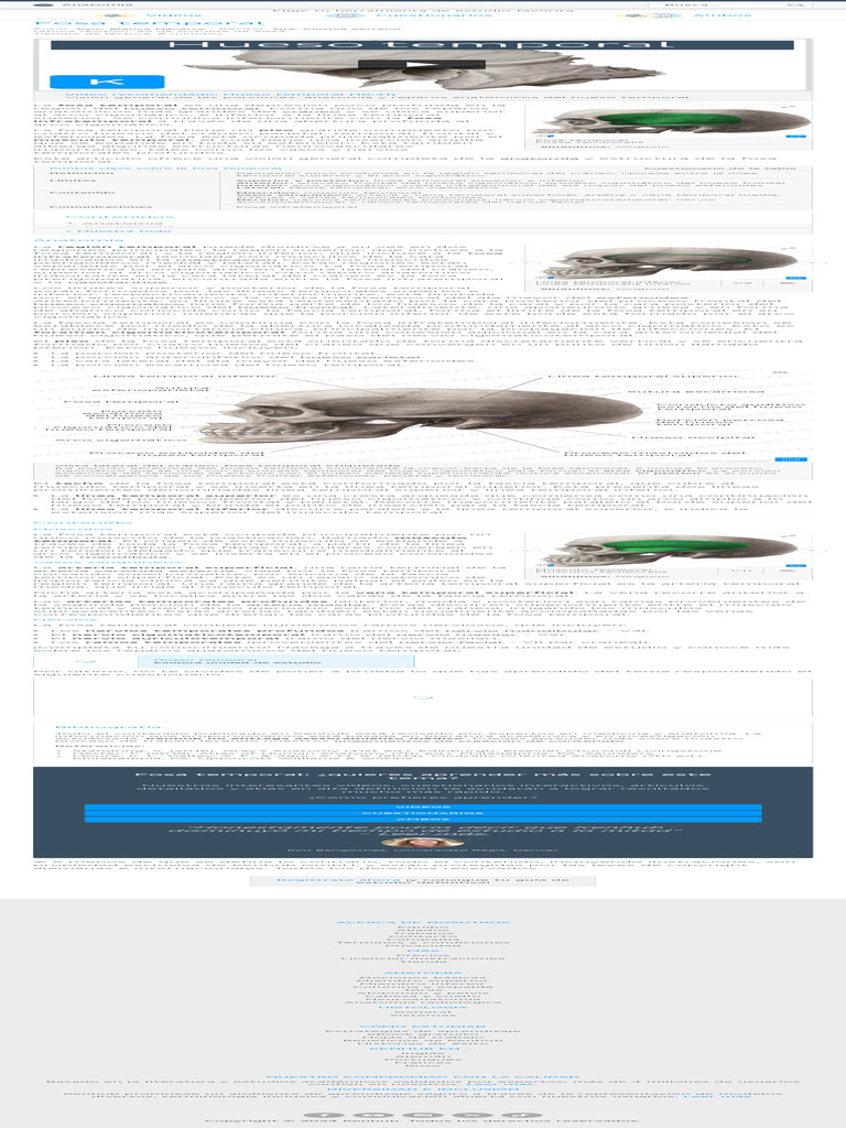 Fosa Temporal Anatomía, Límites y Contenido Ke | PDF | Cráneo | Sistema ...