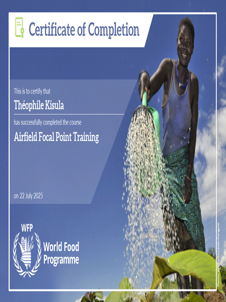 Certificate_Airfield Focal Point Training | PDF