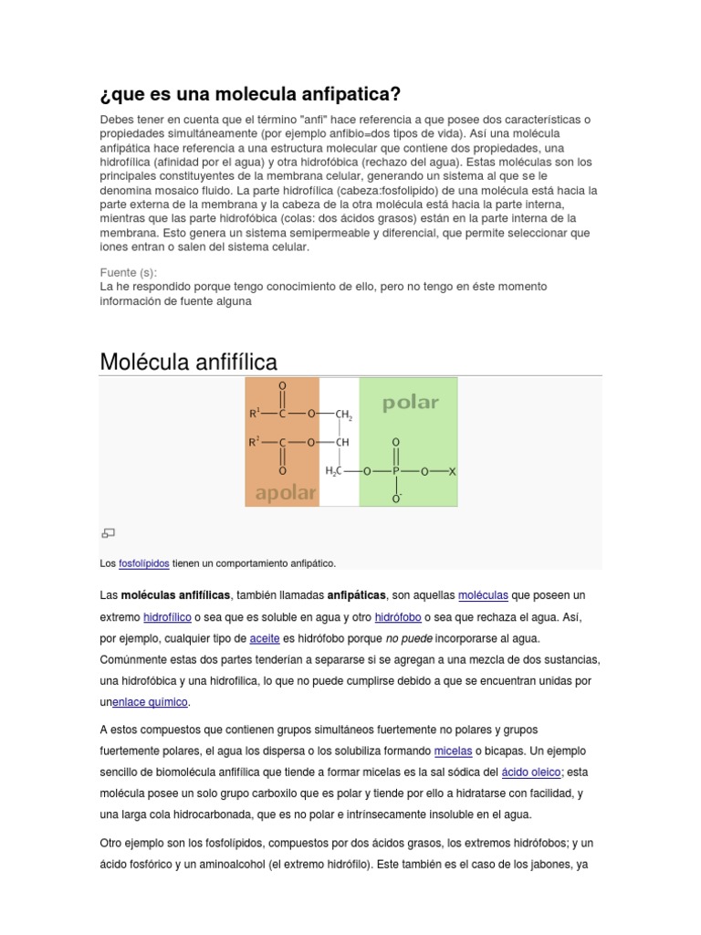 Que Es Una Molecula Anfipatica | PDF | Sustancias químicas | Ciencias ...