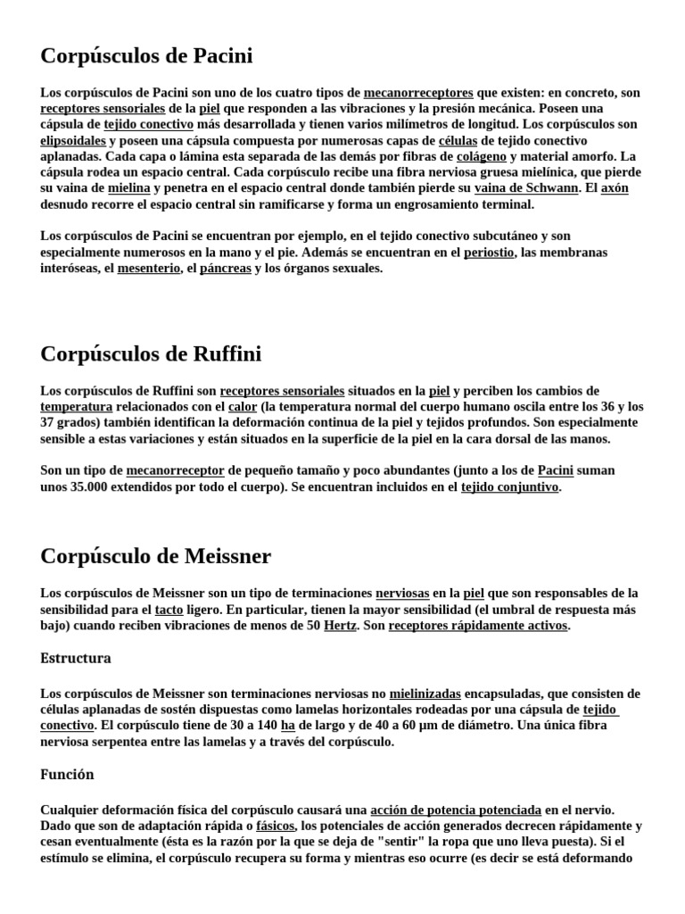 Función y Estructura de Corpúsculos Sensitivos | PDF | Sistema ...