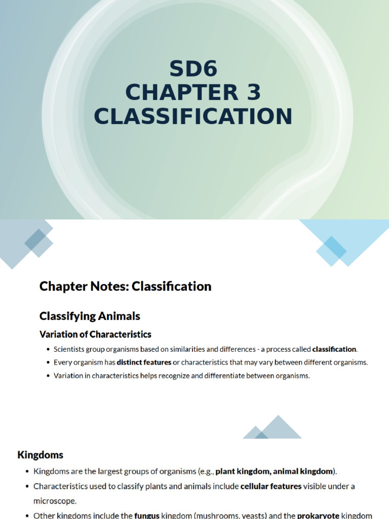 Grade 6 Chapter Classification | PDF