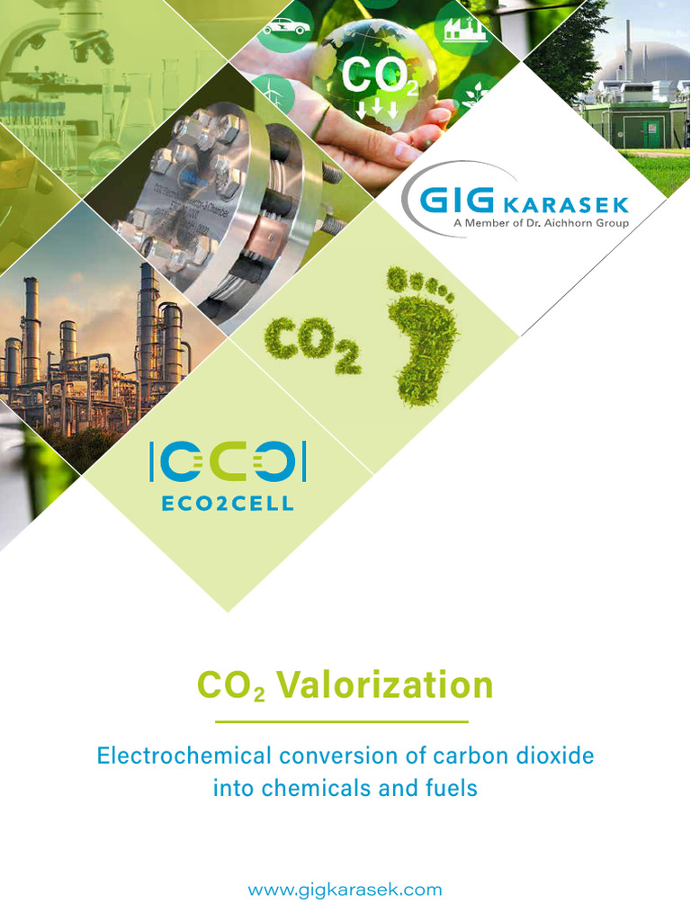 CO2 Electrochemical Conversion Solutions | PDF | Carbon Dioxide ...