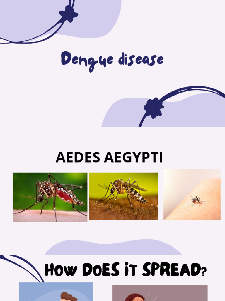 Dengue Disease: Symptoms, Treatment & Prevention | PDF | Medical ...