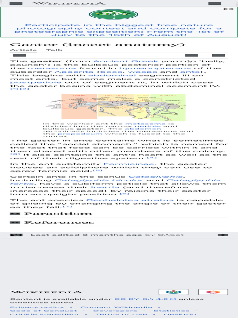 Gaster (Insect Anatomy) - Wikipedia | PDF