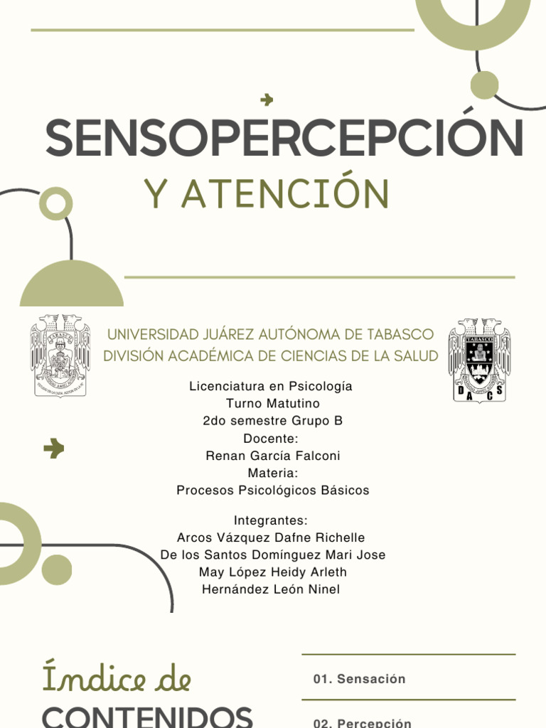 Sensopercepción y Atención | PDF | Percepción | Sentidos