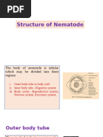 Nematode Species and Common Names List | PDF | Parasites | Plants