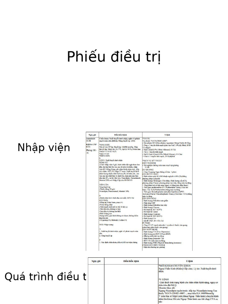 3.phieu Dieu Tri | PDF