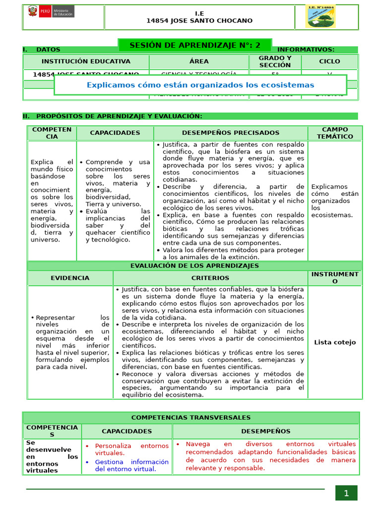 5° Cyt - Sesión de Aprendizaje - 2 | PDF | Aprendizaje | Evaluación
