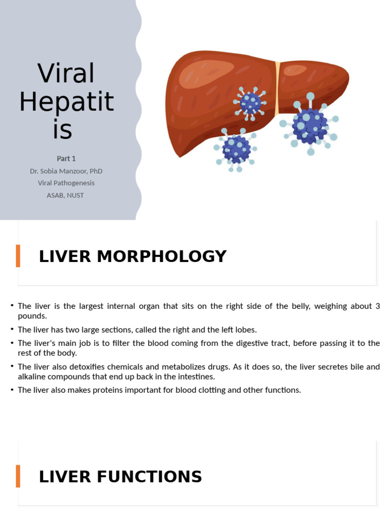 Understanding Liver Pathology and Hepatitis | PDF | Hepatitis C Virus ...