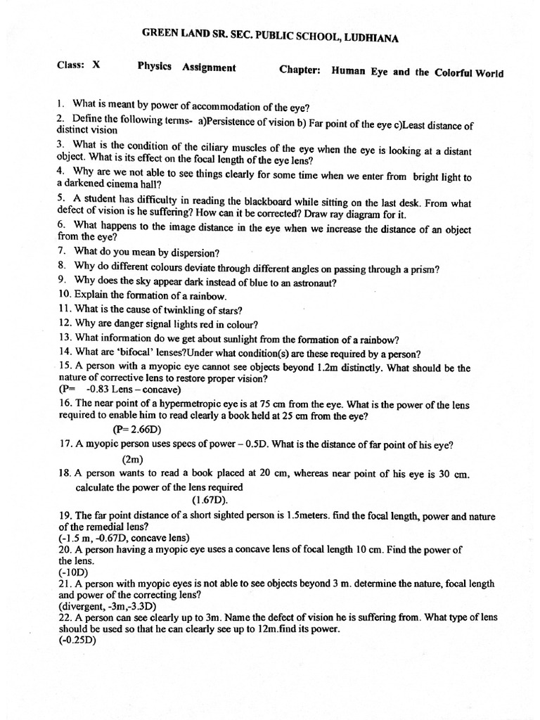 Human Eye Assignment | PDF