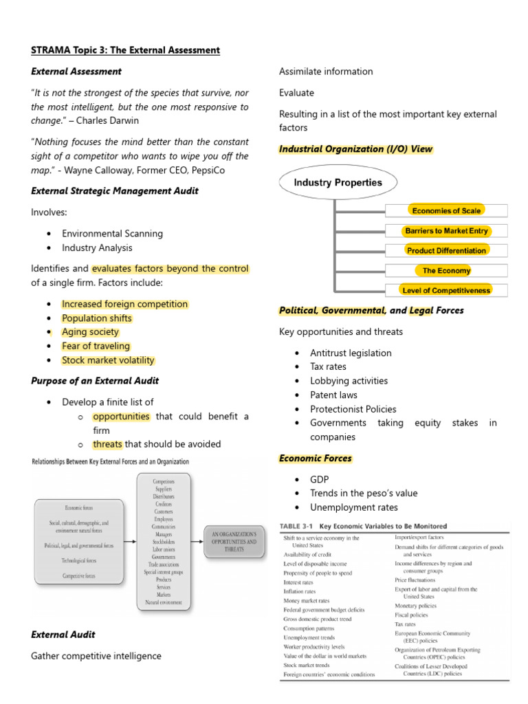 External Strategic Management Audit Guide | PDF | Chief Information ...