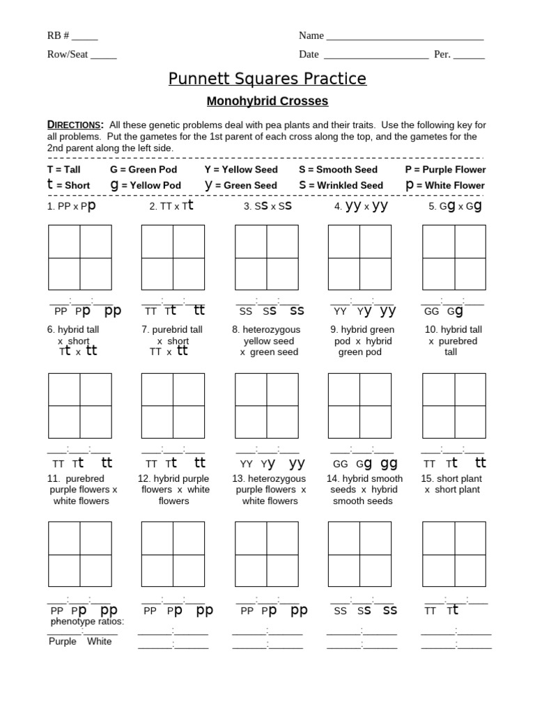 Monohybrid Cross Activity Pdf