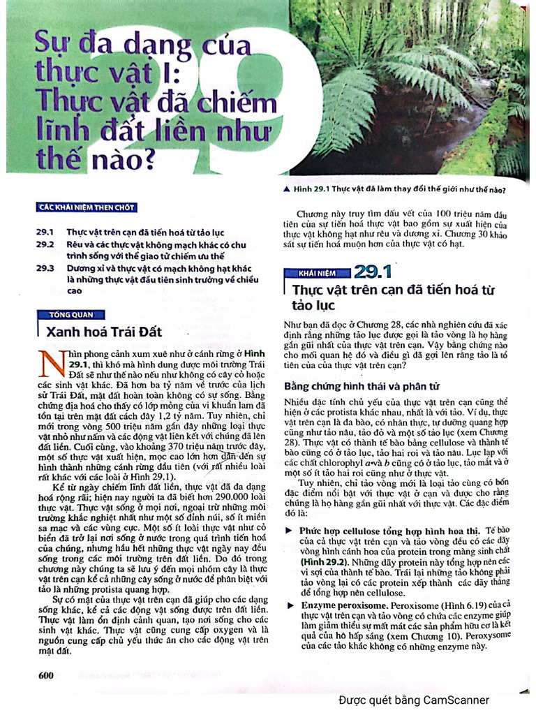 Su Da Dang Thuc Vat I | PDF