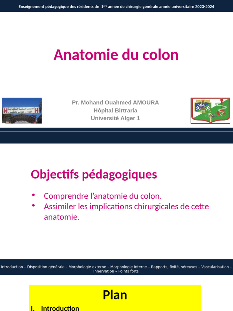 Anatomie du côlon : Guide chirurgical | PDF | Gros intestin | Péritoine