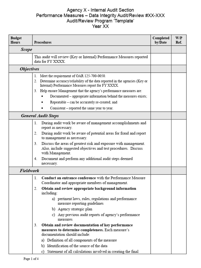 Data Integrity Audit Template | PDF | Audit | Accuracy And Precision