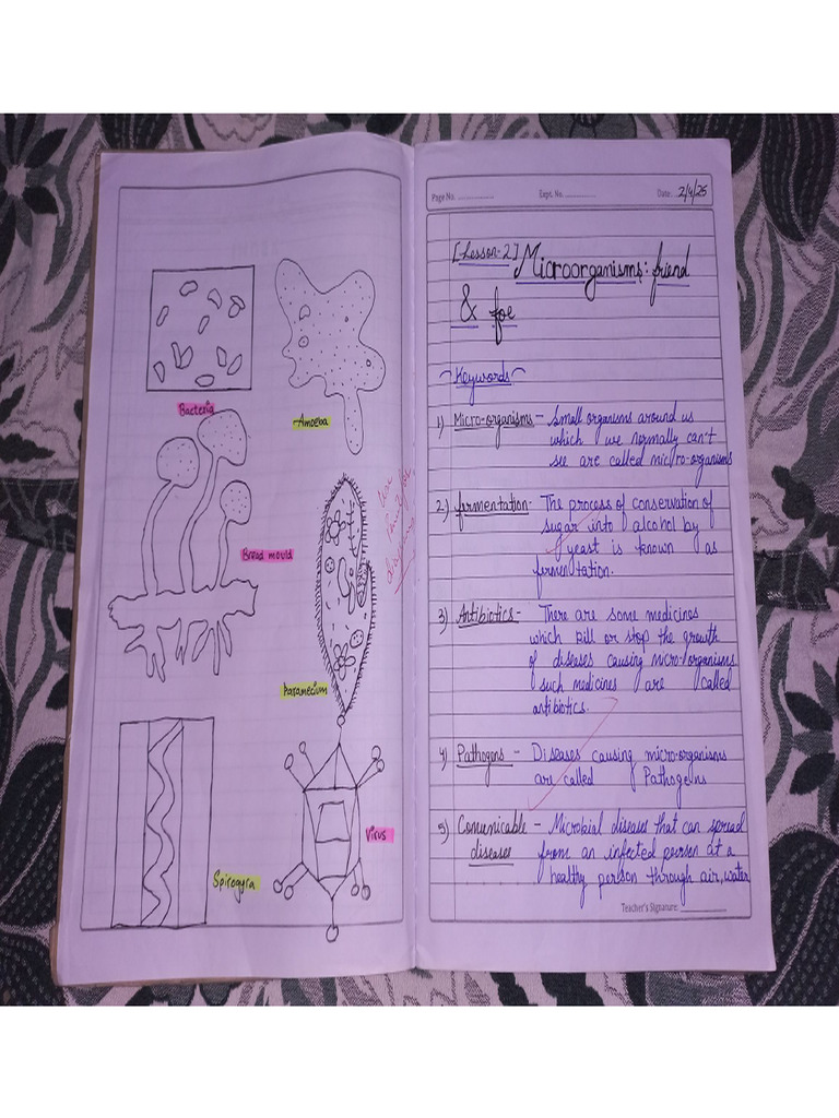 Science All Notebook Work | PDF