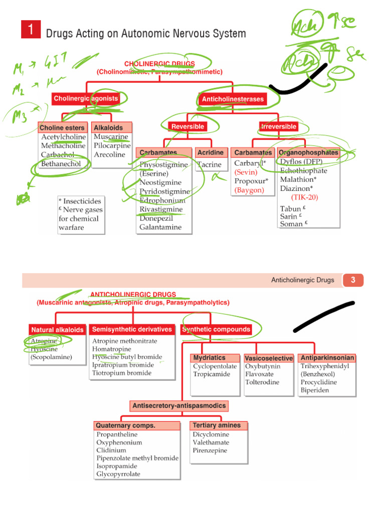 Autonomic Nervous System Drugs Overview | PDF | Medical Treatments | Drugs