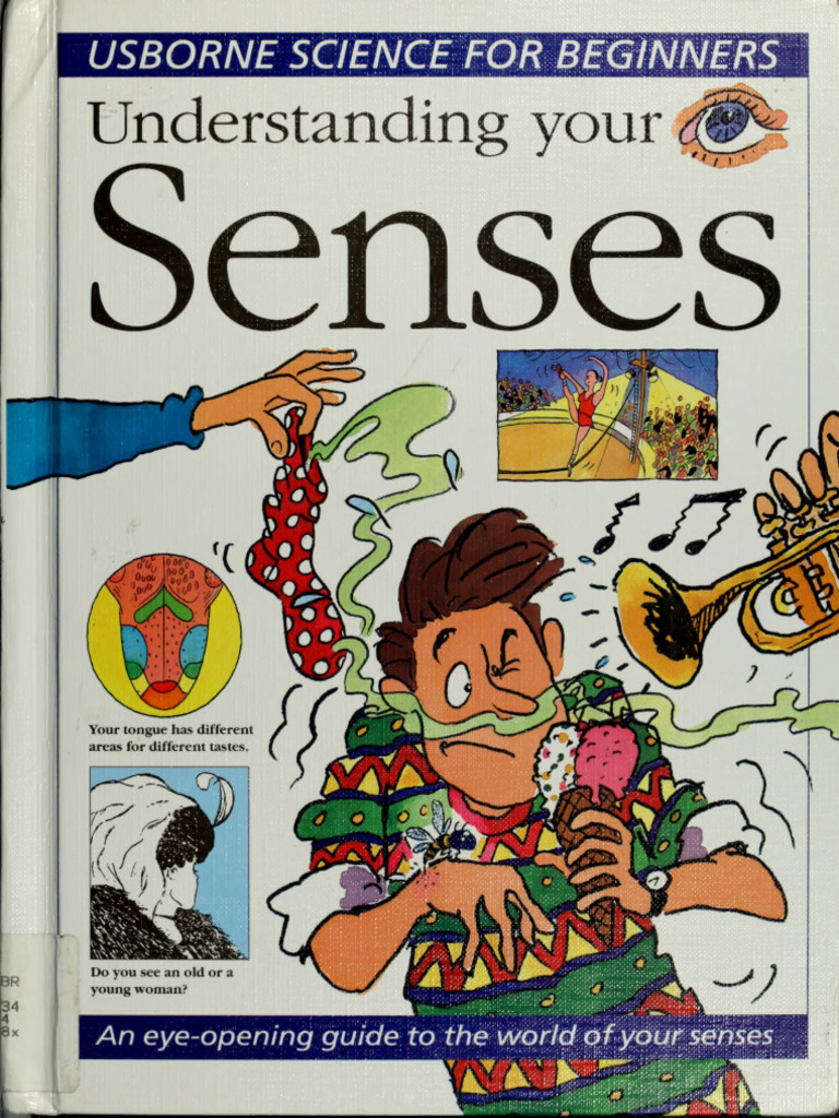 Understanding Your Senses -- Making Sense of This Subject Were--Rebecca ...