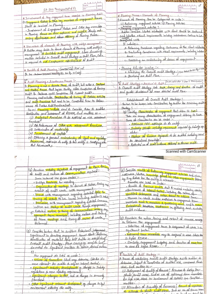 CH 2 Audit Strategy, Audit Planning and Audit Program | PDF