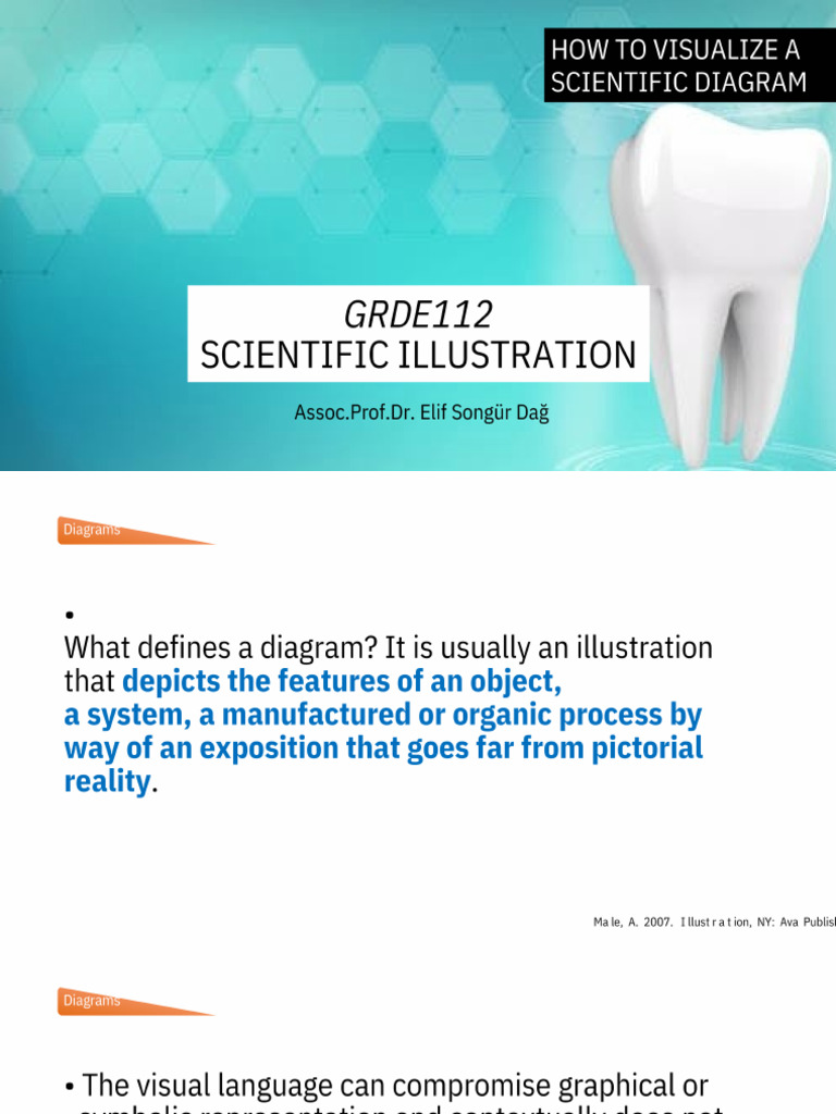 How To Visualize A Scientific Diagram | PDF