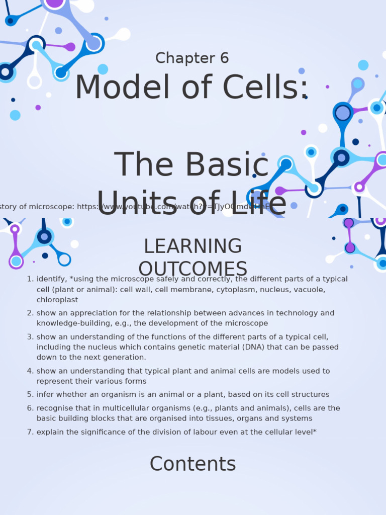 G3 G2 Model of Cells - Slides (2025) | PDF | Cell (Biology) | Tissue ...