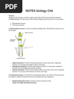 Tissues Work Sheet - Answer Key | PDF | Tissue (Biology) | Anatomy