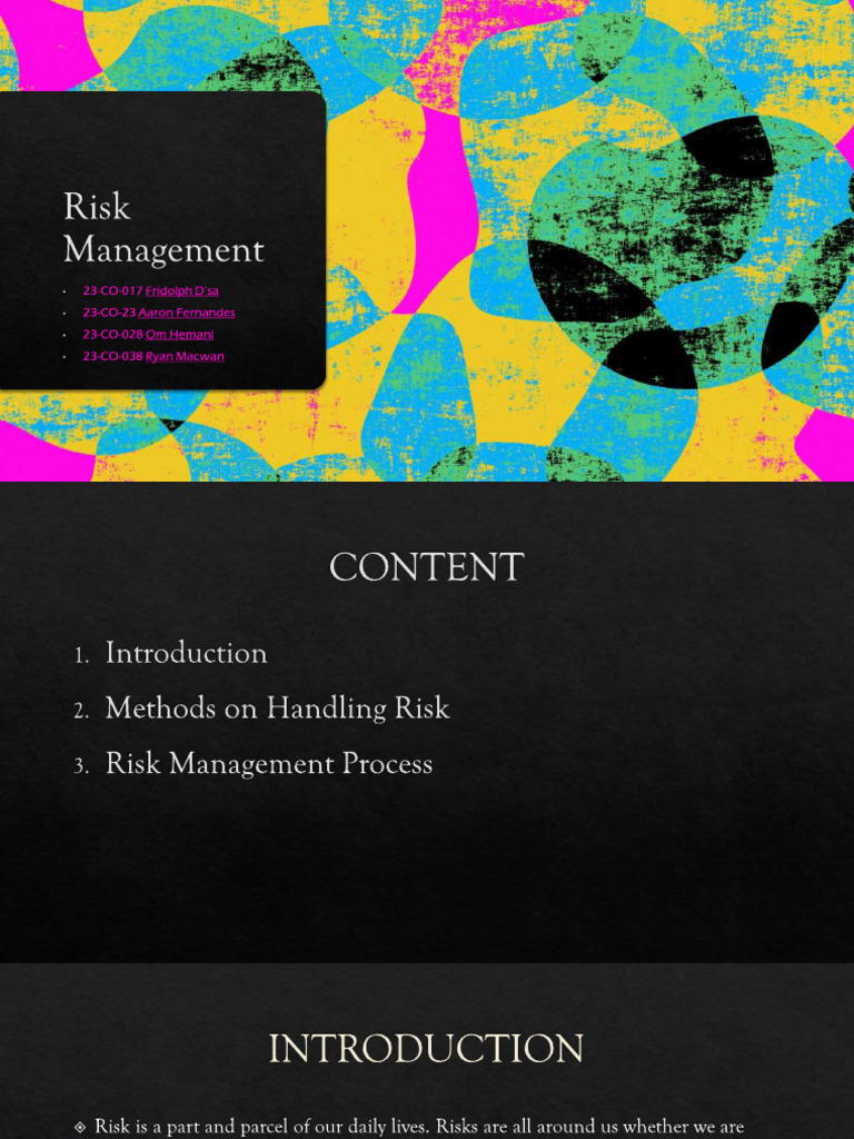 Risk Management Process | PDF