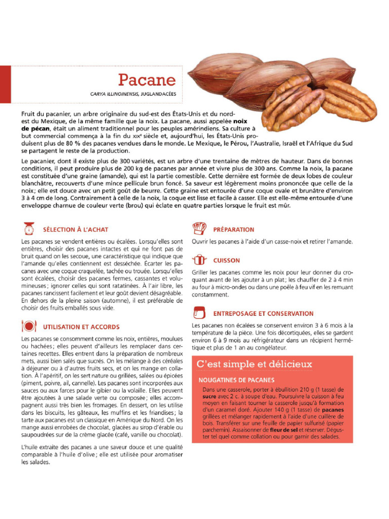 Pacane | PDF