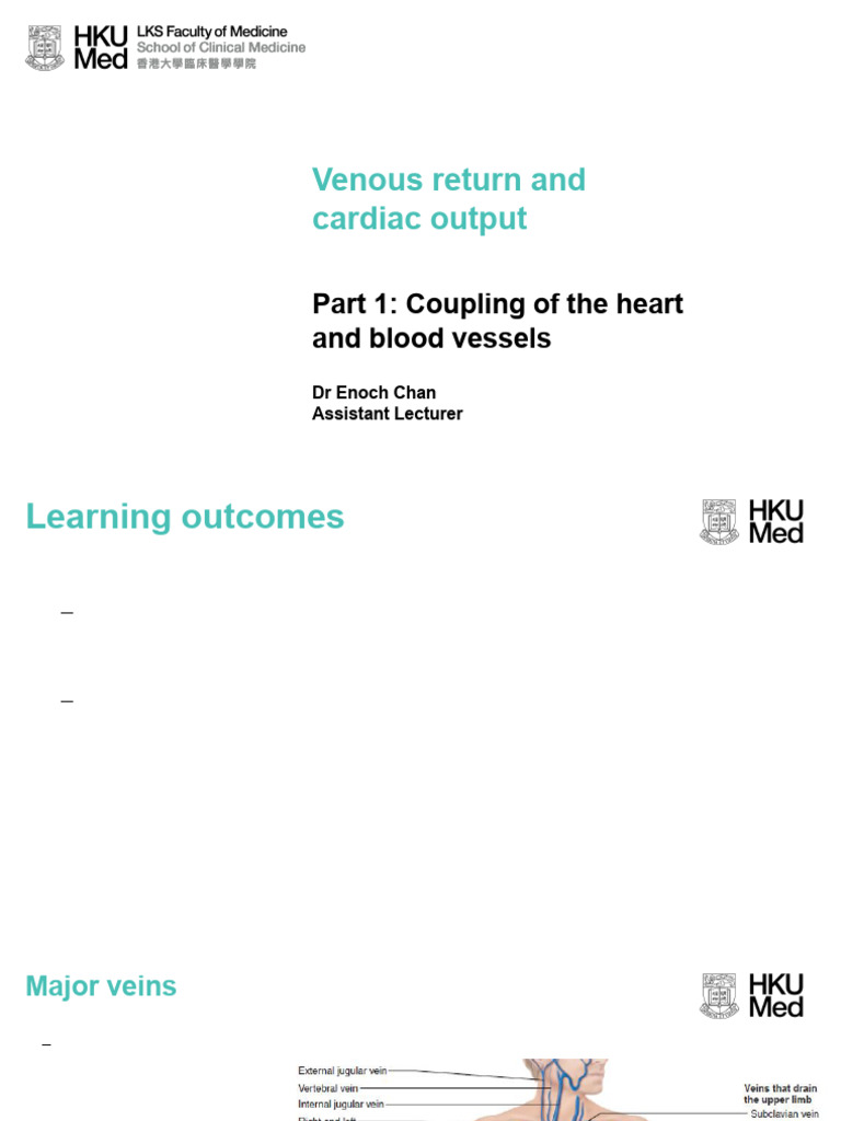 Venous Return Dynamics Explained | PDF | Vein | Blood Pressure