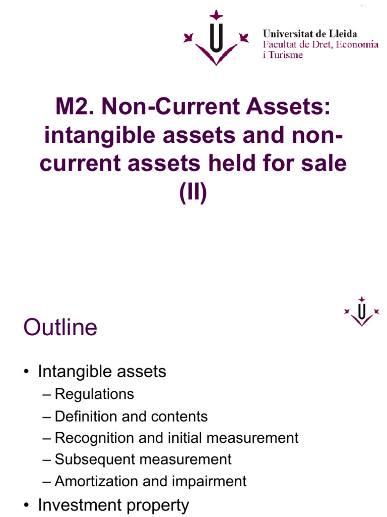 FA2.2 STU Non-Current INTANGIBLE Assets PDF | PDF | Goodwill ...